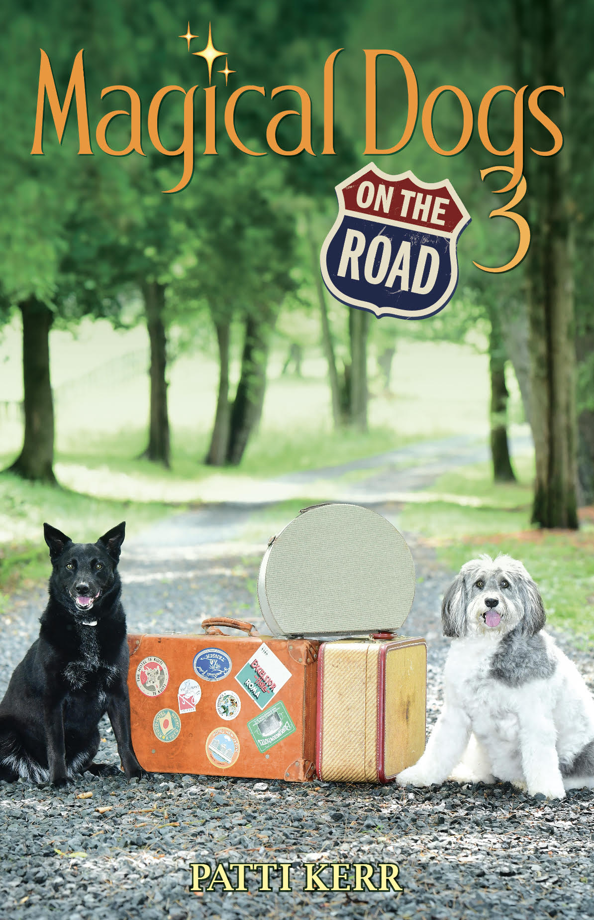 Delaware Valley Doberman Pinscher Assistance – Dedicated to the rescue ...